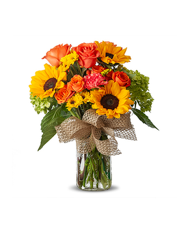 Gainesville Florist - Flower Delivery by Floral Expressions Florist