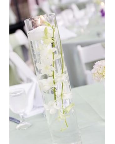 Floating orchids in Winchester VA - Flowers By Snellings