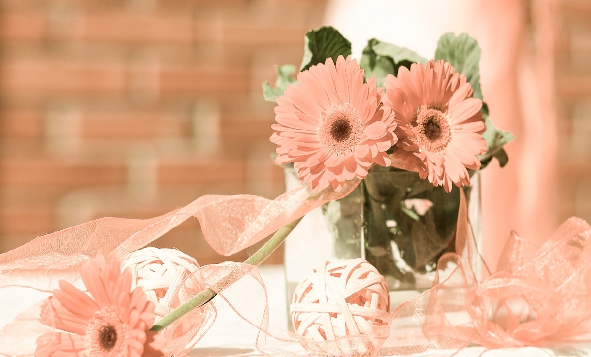 Peach Fuzz Splendor: 2024 Color of the Year Featured at Scarlett's Flowers