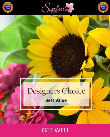 Get Well - Get Well Flowers, Get Well Gifts, Get Well Plants, Hospital ...