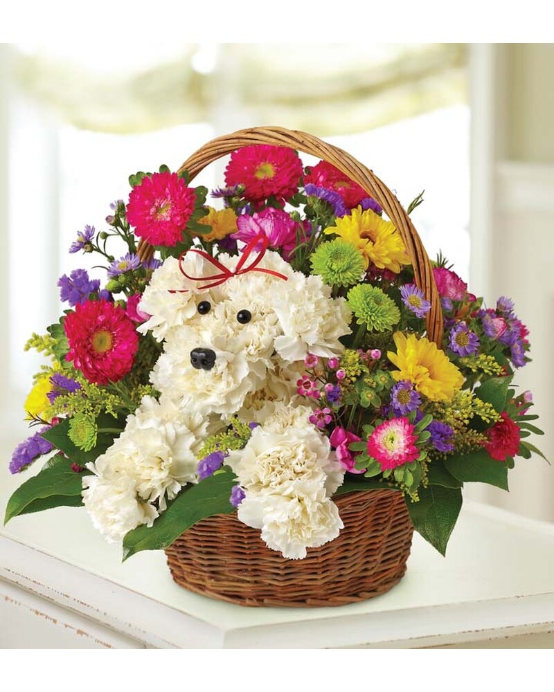 a DOG able in a Basket in Bradenton FL Scarlett s Flowers Gifts