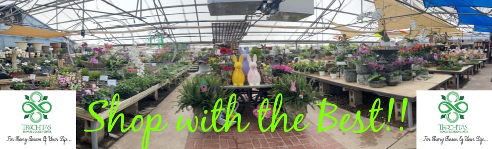 Oklahoma City Florist - Flower Delivery by Trochta's