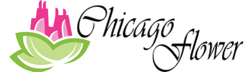Chicago Florist - Same Day Flower Delivery by Chicago Flower
