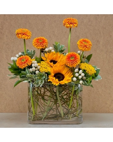 Santa Cruz Florist - Flower Delivery by Ferrari Florist & Gardens