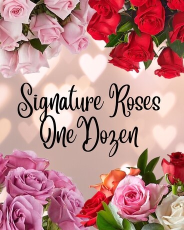 One Dozen Signature Roses in Flower Mound TX - Dalton Flowers, LLC