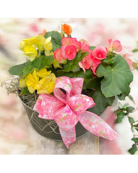 Naples Florist - Flower Delivery by Driftwood Garden Center & Florist
