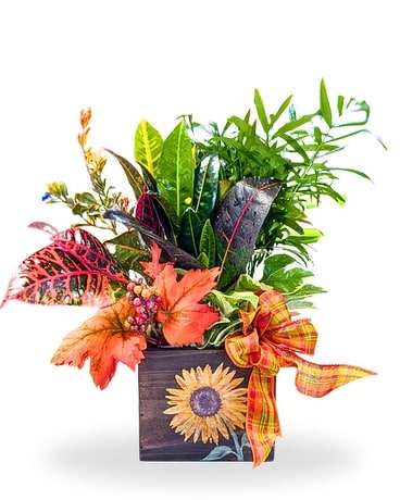 Dayville Florist - Flower Delivery by The Sunshine Shop