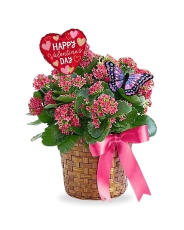 Dayville Florist - Flower Delivery by The Sunshine Shop