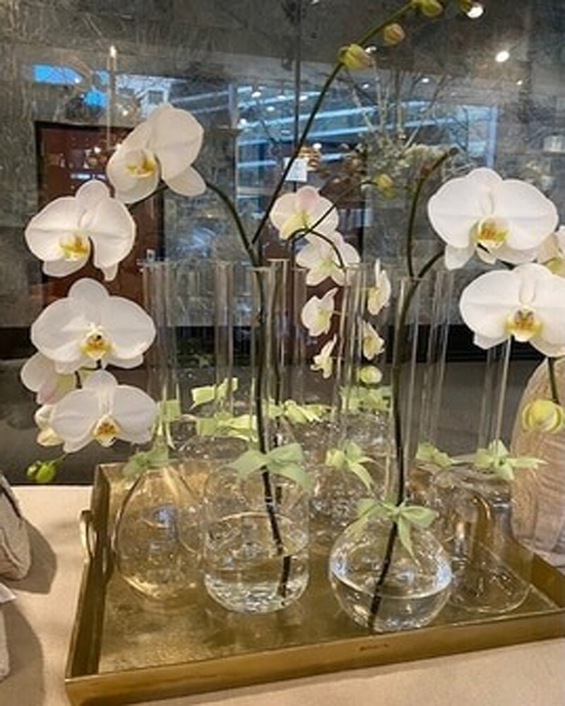 Glass bobble bud vase with orchid stem
