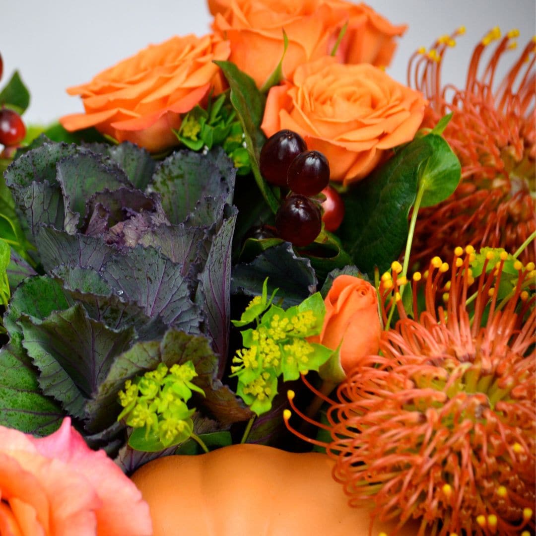 Surprising Muted Palettes