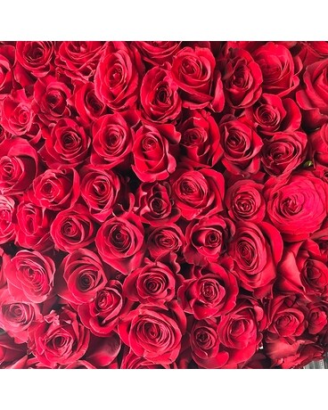Endless Romance-100 Long Stem Roses in Stamford CT - Stamford Florist
