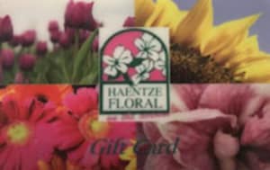 Pretty Please TEV12-4A in Fond Du Lac WI - Haentze Floral Co