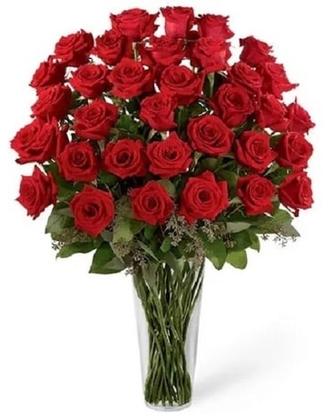 3 Dozen Long Stem Roses in Fond Du Lac WI - Haentze Floral Co