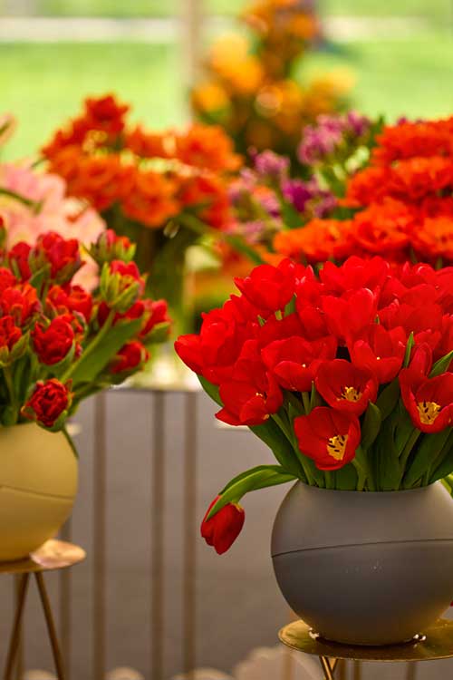 Plano Texas Flower Shop