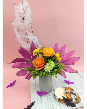 Hocus Pocus in Arlington, Carrolton & Plano | In Bloom Flowers