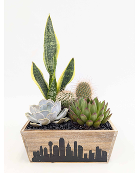 Florist Serving Dallas and Fort Worth | Same-Day Flower Delivery In DFW ...