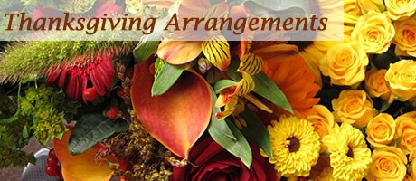 Florist Amherst NY - Flower Delivery Amherst New York