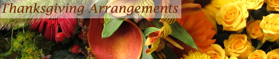 Florist Amherst NY - Flower Delivery Amherst New York