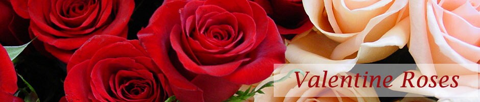 Florist Amherst NY - Flower Delivery Amherst New York
