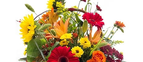 Florist Amherst NY - Flower Delivery Amherst New York