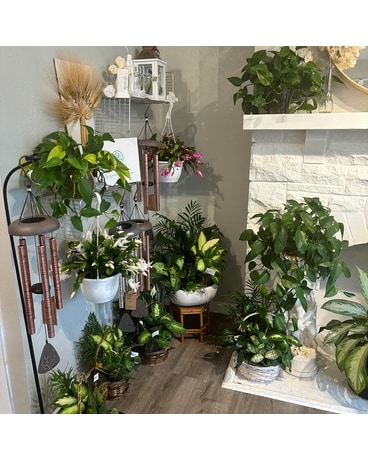 Pittsburgh Florist - Flower Delivery by Community Flower Shop