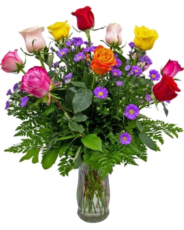 One Dozen Multi-Colored Roses with Purple Monte in Zeeland MI - Don's ...