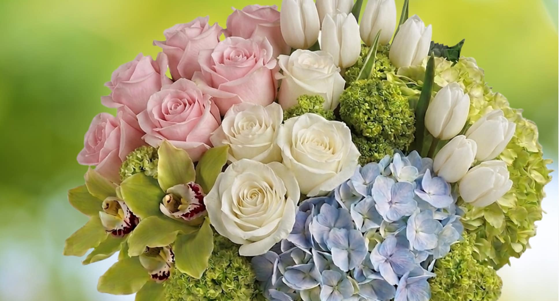 Hansen's Flower Shop | Fairfield CT Florist, Same-Day Delivery