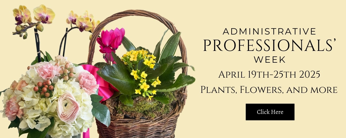 Fairfield CT Local Florist | Flower Delivery by Hansen's Flower Shop