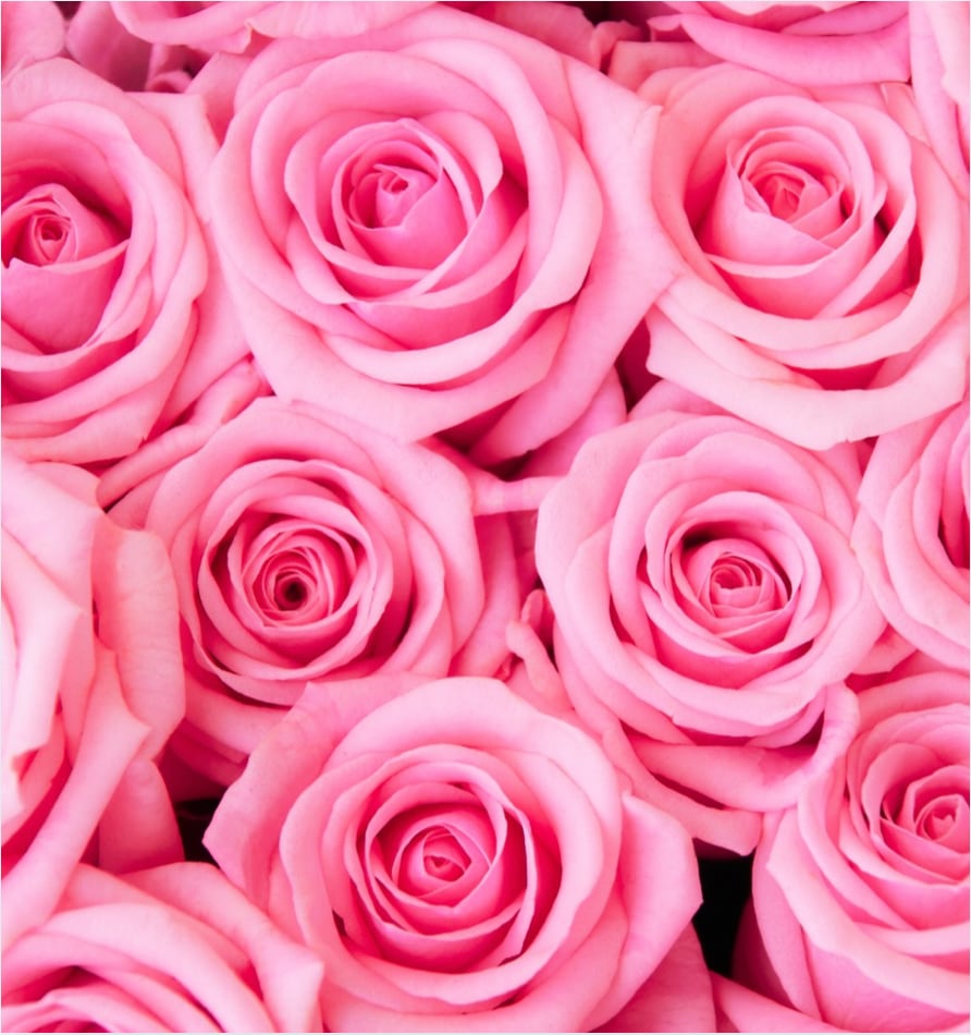 Fairfield CT Local Florist | Flower Delivery by Hansen's Flower Shop
