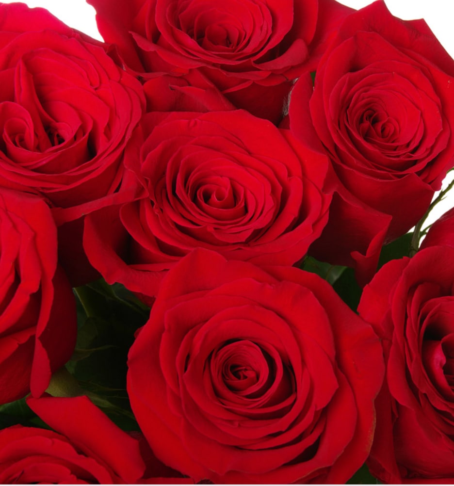 Fairfield CT Local Florist | Flower Delivery by Hansen's Flower Shop