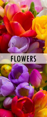 Award Winning Florist in Fairfield CT - Hansen's Flower Shop Since 1920