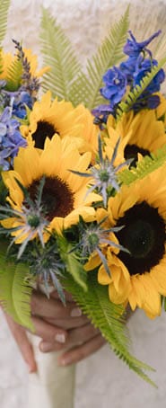 Fairfield CT Local Florist | Flowers Delivery by Hansen's Flower Shop