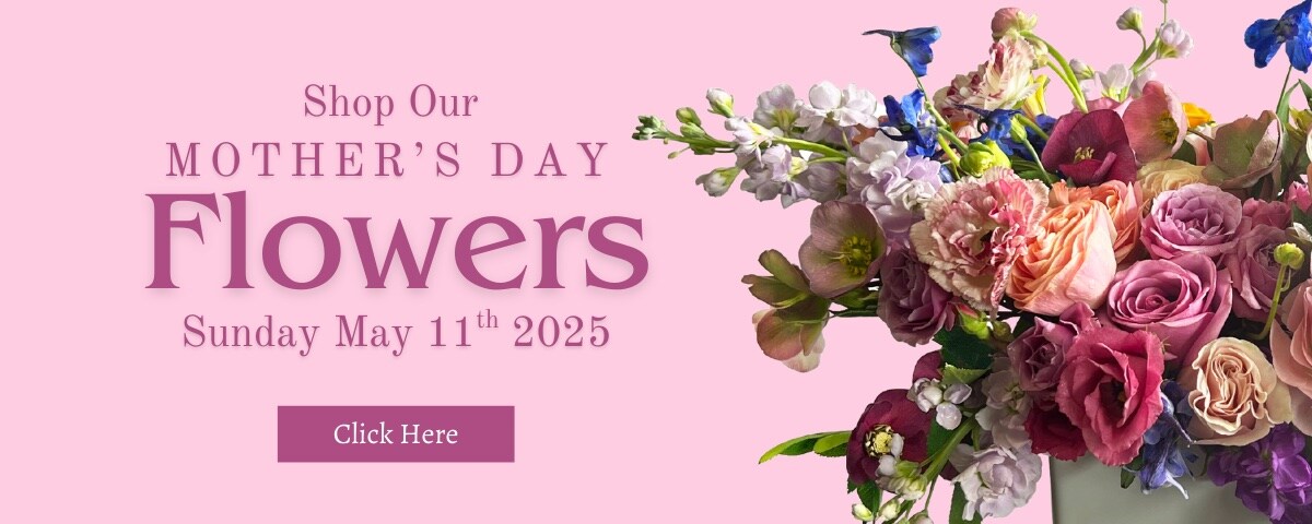 Fairfield CT Local Florist | Flower Delivery by Hansen's Flower Shop