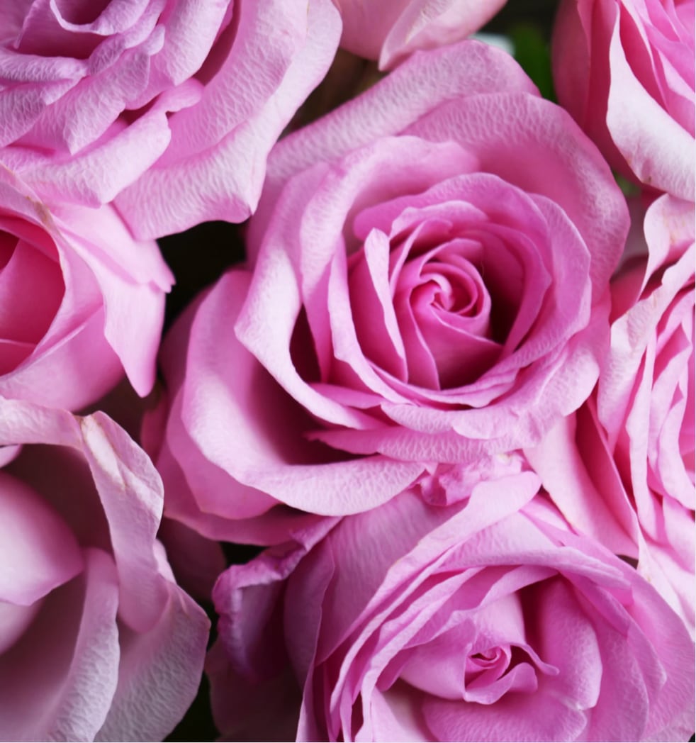 Milford Flower Shop | Flowers Delivery by Beachwood Florist in Milford