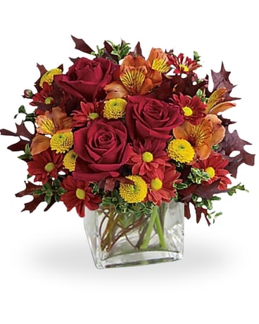 Maple Leaf in Milford CT - Beachwood Florist