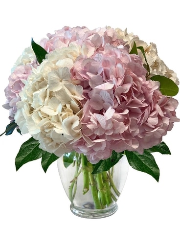 Milford Flower Shop | Flowers Delivery by Beachwood Florist in Milford