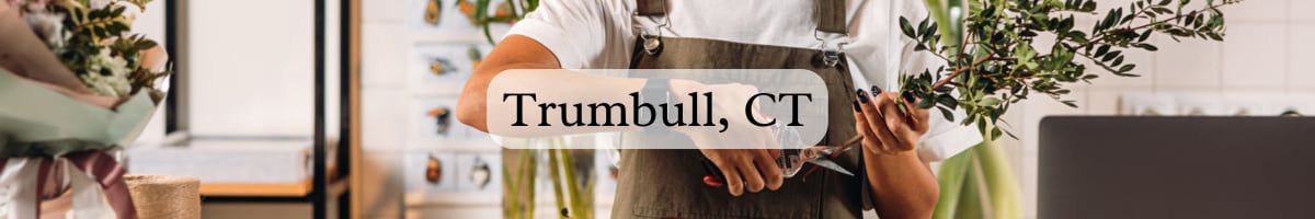 Trumbull, CT Florist Delivery - Hansen's Flower Shop