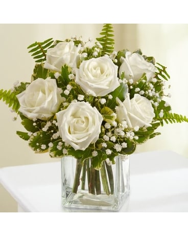 Sheer Embrace Roses – White in Brooklyn NY - Marine Florists