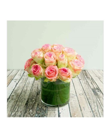 Roses Delivery Houston TX - The Empty Vase of Houston