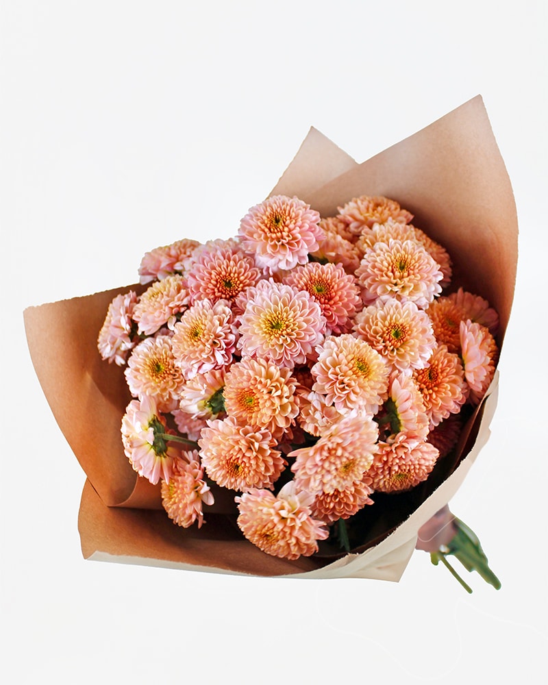 Shop by Flowers Delivery Boulder CO - Sturtz & Copeland Florist ...