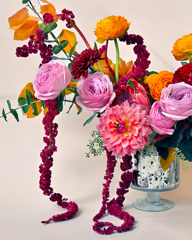 Boulder Florist - Flower Delivery by Sturtz & Copeland Florist ...