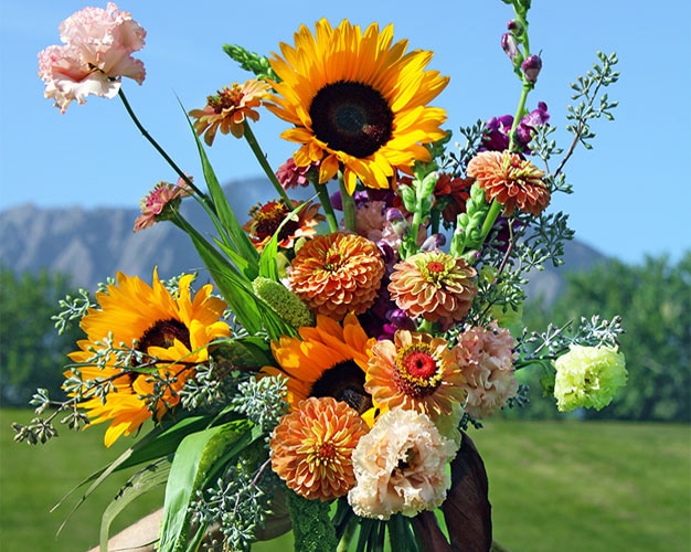 Create Your Collection | Wedding Flowers by Sturtz & Copeland