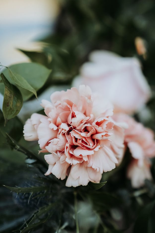 Anna & Tony | Wedding Gallery by Sturtz & Copeland