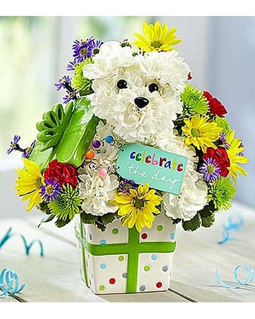 Conroys Flowers, Local El Cajon CA Florists, Same Day Delivery, San ...