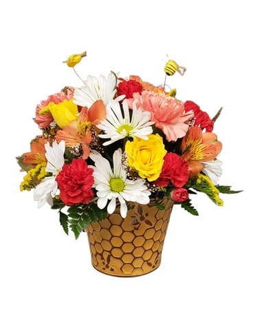 Auburn S Flowers Erie Pa | Best Flower Site