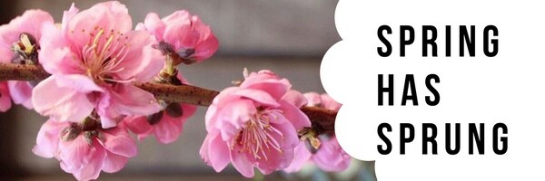 Yorba Linda Florist - Flower Delivery by Garden Gate