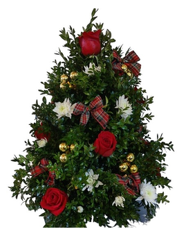 Palm Coast Florist - Flower Delivery by Blooming Flowers & Gifts