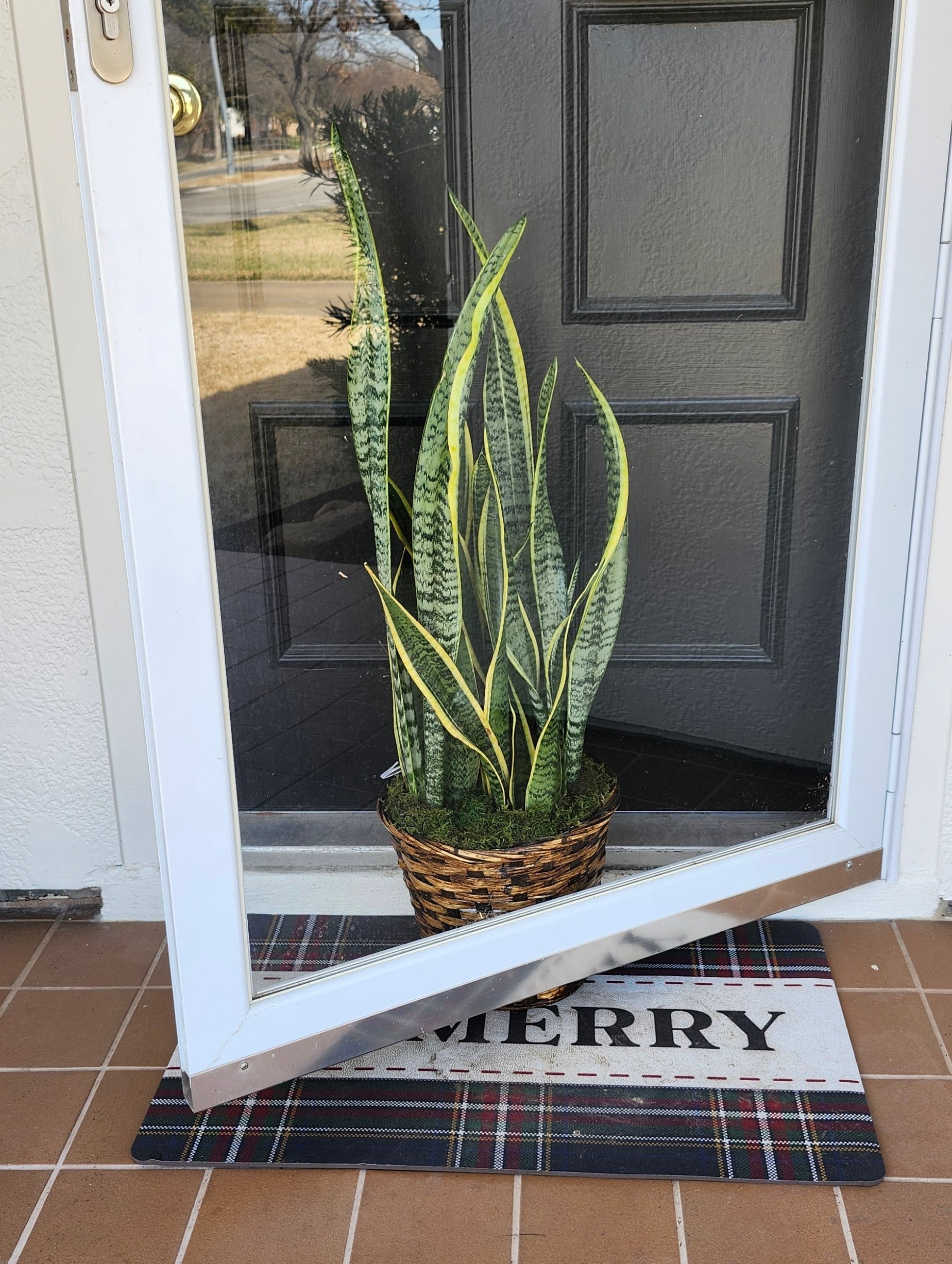 Sign up for special offers!