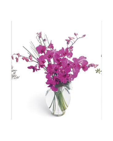 Santa Rosa Florist - Flower Delivery by Santa Rosa Flower Shop