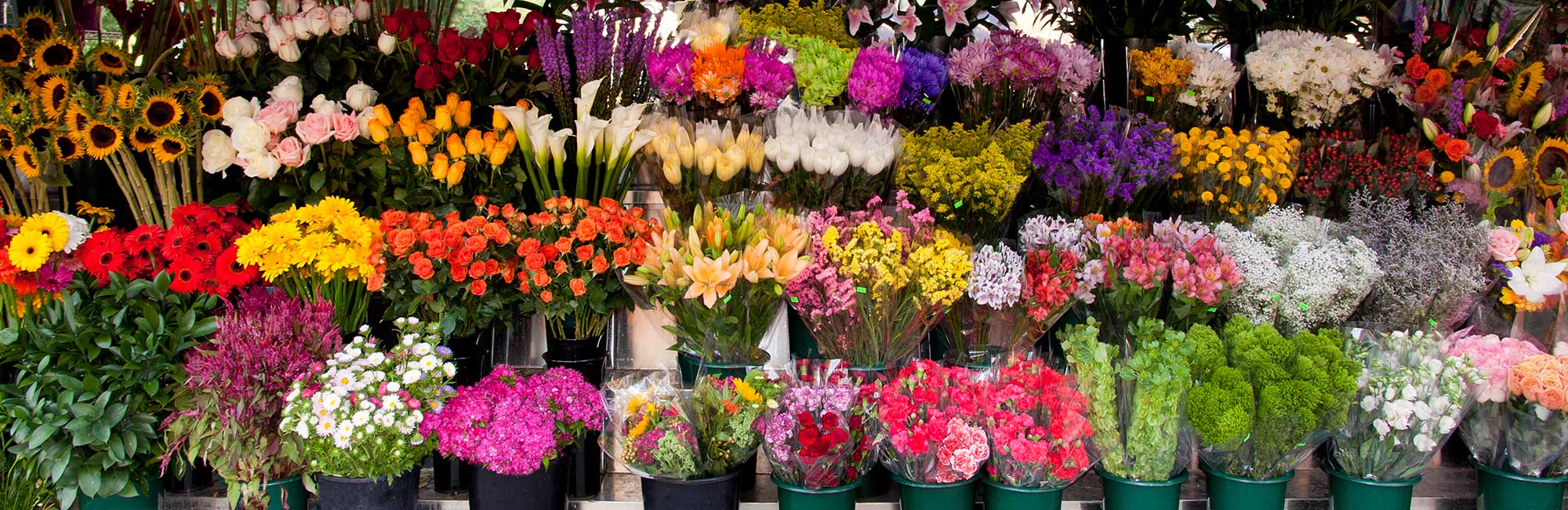 Indianapolis Florist - Flower Delivery by Steve's Flowers and Gifts